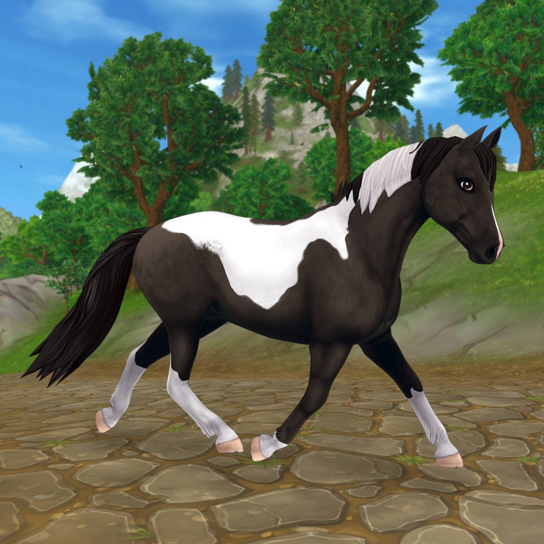 Chincoteague Pony Jorvikipedia FANDOM Powered By Wikia chincoteague-pony-jorvikipedia-fandom-powered-by-wikia