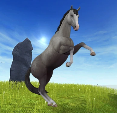 Trakehner | Jorvikipedia | FANDOM powered by Wikia