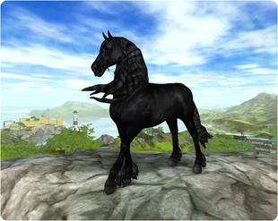 Friesian Horse | Jorvikipedia | Fandom