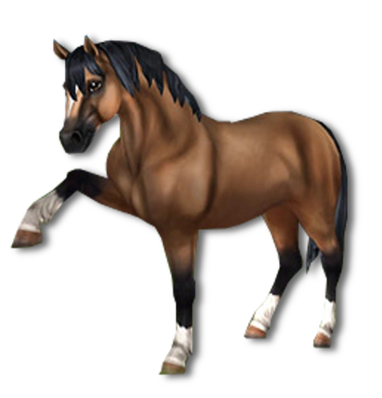 Kuc walijski | Jorvikipedia | Fandom