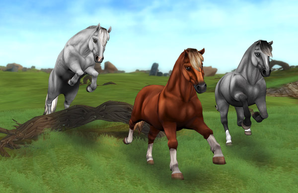 Welsh Pony | Jorvikipedia | Fandom