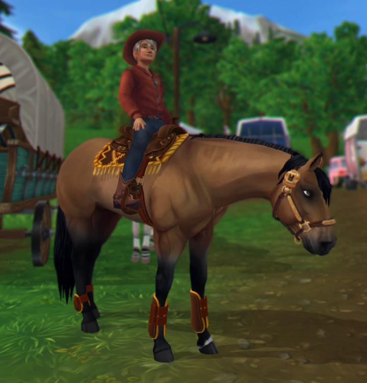 Pearl Hart | Jorvikipedia | Fandom