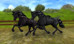 Friesian Horse | Jorvikipedia | Fandom