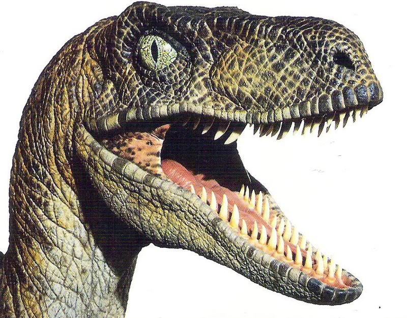 Image - RAPTOR7.jpg | JPL Live the Legend Wiki | FANDOM powered by Wikia