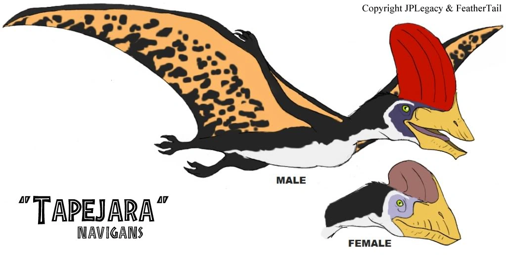 Image - Tapejara.png | JPL Live the Legend Wiki | FANDOM powered by Wikia