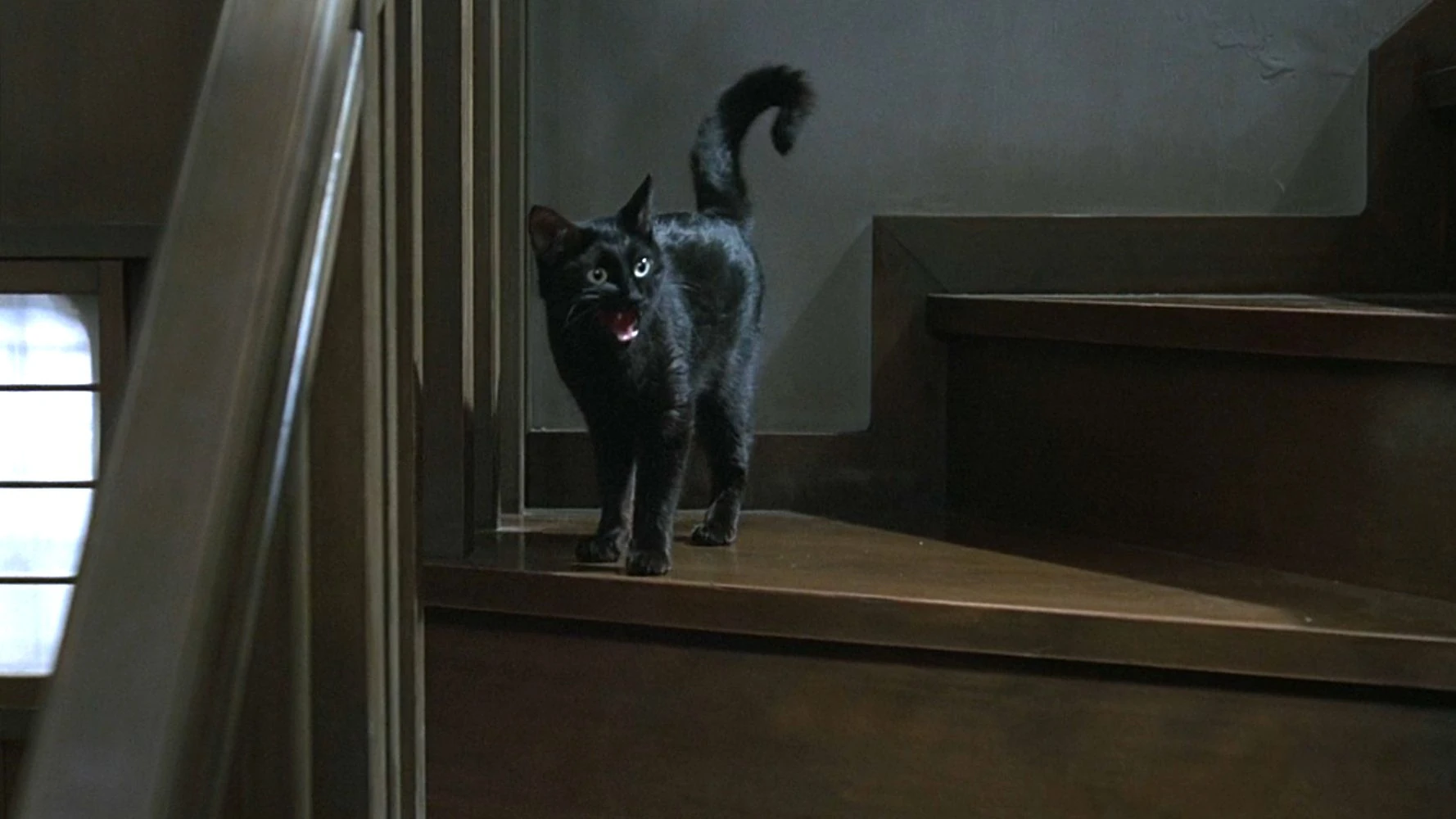 Mar | Ju-On Wiki | Fandom