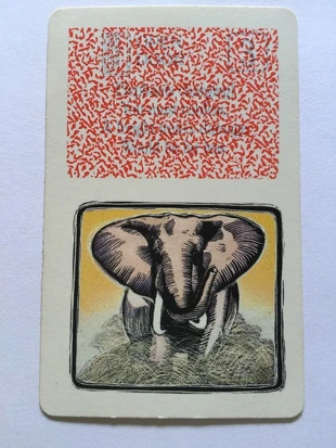 Elephant | Jumanji Wiki | Fandom