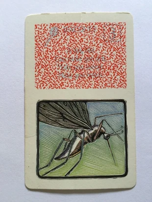 Mosquito | Jumanji Wiki | Fandom