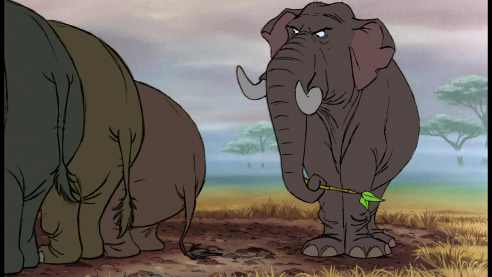 Hathi | Jungle Book Wiki | FANDOM powered by Wikia
