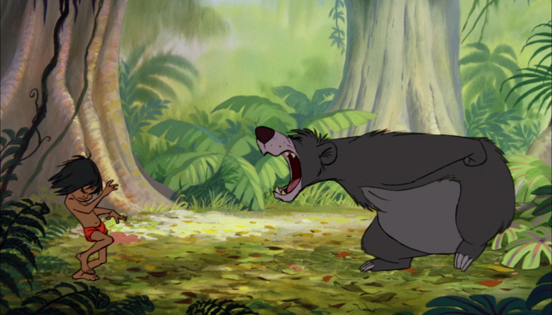 Image Baloo The Bear Roars At Mowgli Jungle Book Wiki Fandom Powered By Wikia