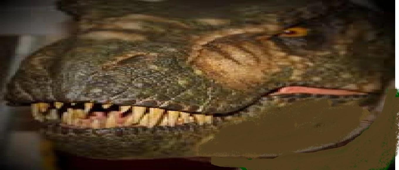 Alfa Rex | Jurassic Park Fanon Wiki | Fandom