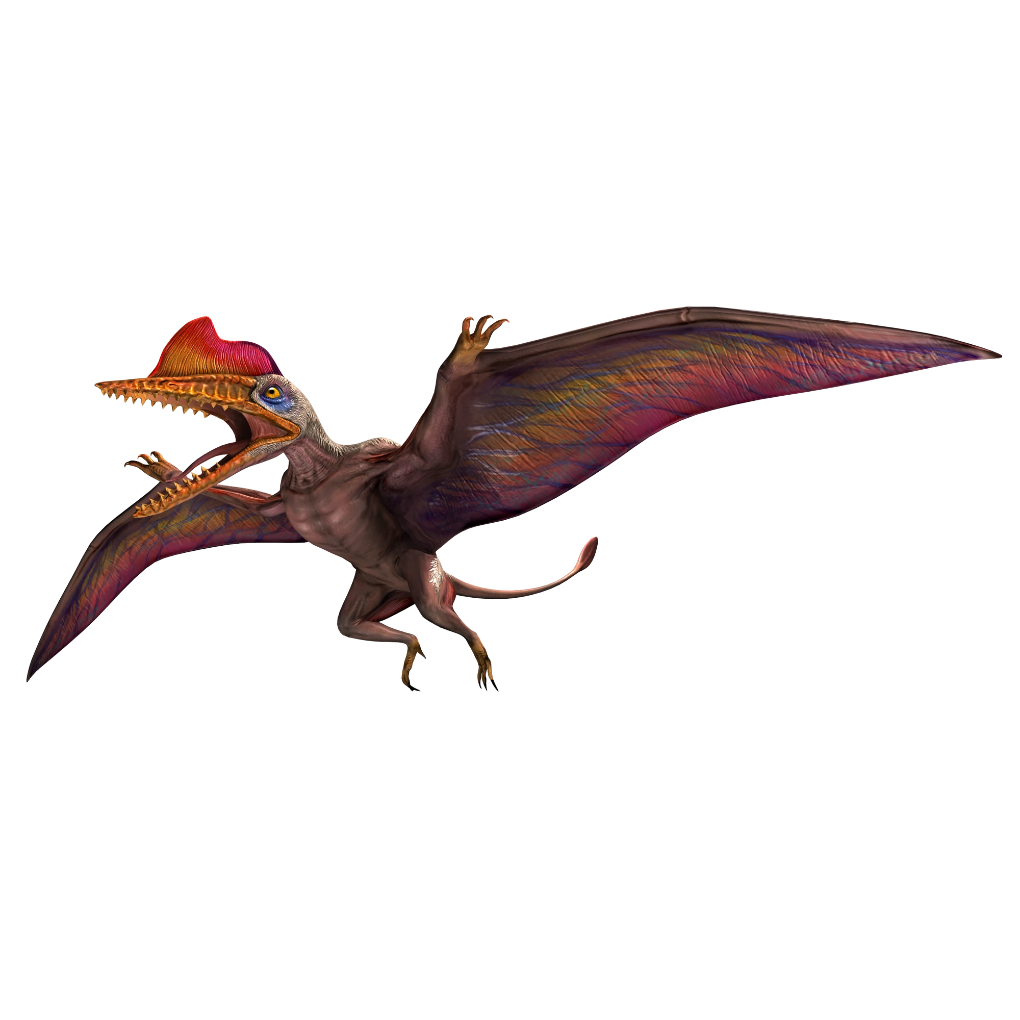 Darwinopterus | Jurassic World Alive Wiki | Fandom