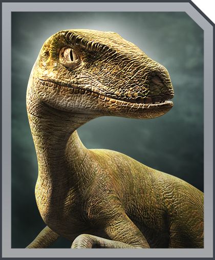 Velociraptor | Jurassic World Alive Wiki | Fandom Velociraptor | Jurassic World Alive Wiki | Fandom