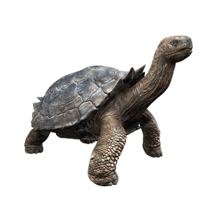 Carbonemys | Jurassic World Alive Wiki | Fandom