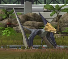 Scaphognathus | Jurassic World The mobile game Wikia | Fandom