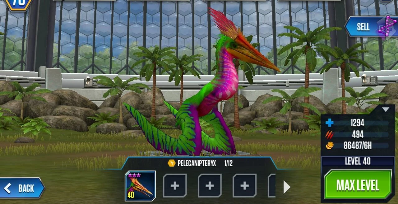 Pelecanipteryx | Jurassic World The mobile game Wikia | Fandom