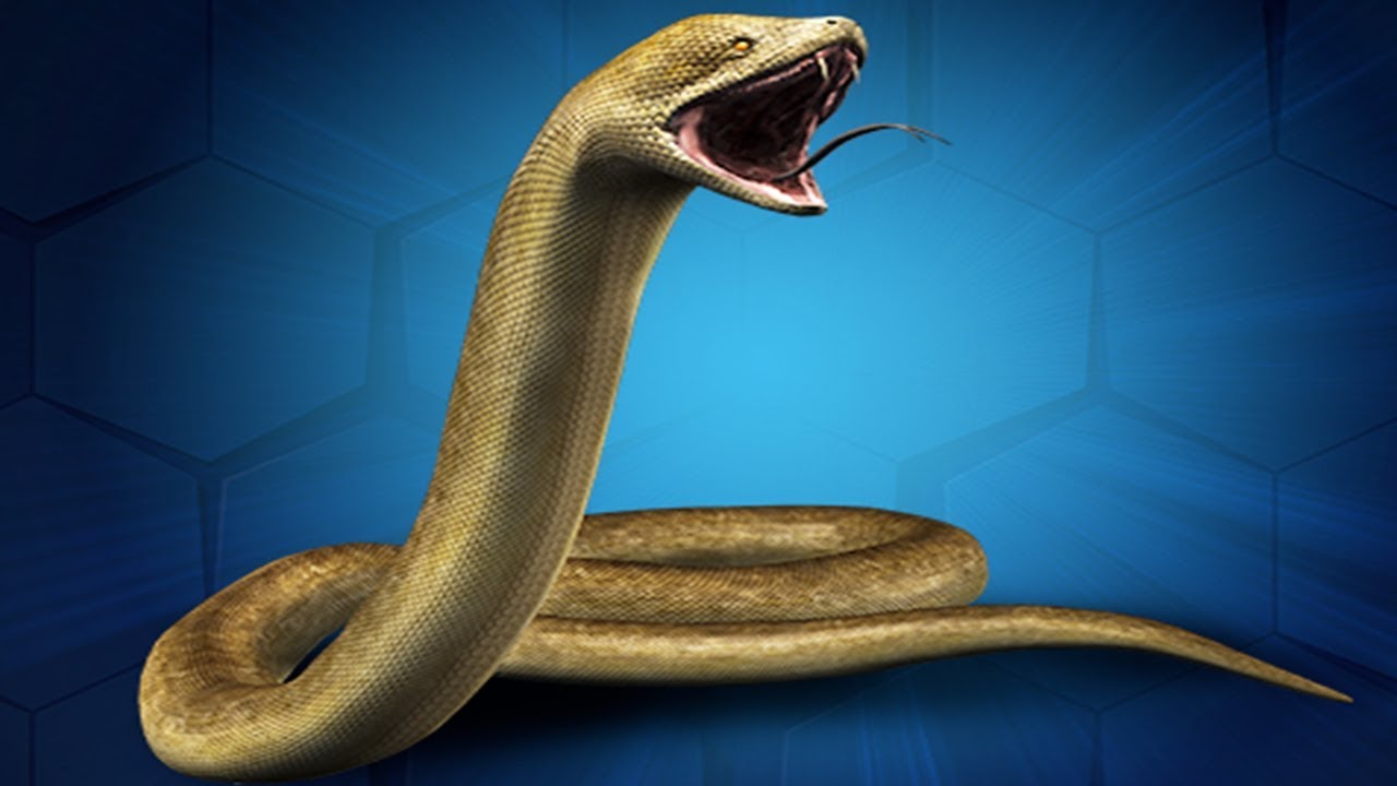 Titanoboa Jurassic World The Mobile Game Wikia Fandom Powered By Wikia