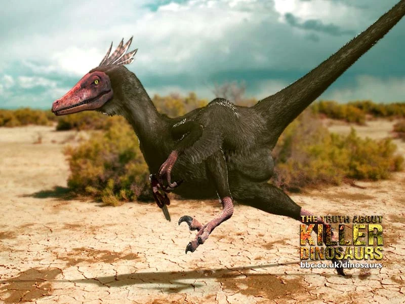 Velociraptor | Jurassic Wiki | FANDOM powered by Wikia