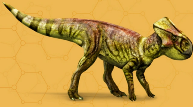 Microceratops | Jurassic Park Wiki | FANDOM powered by Wikia