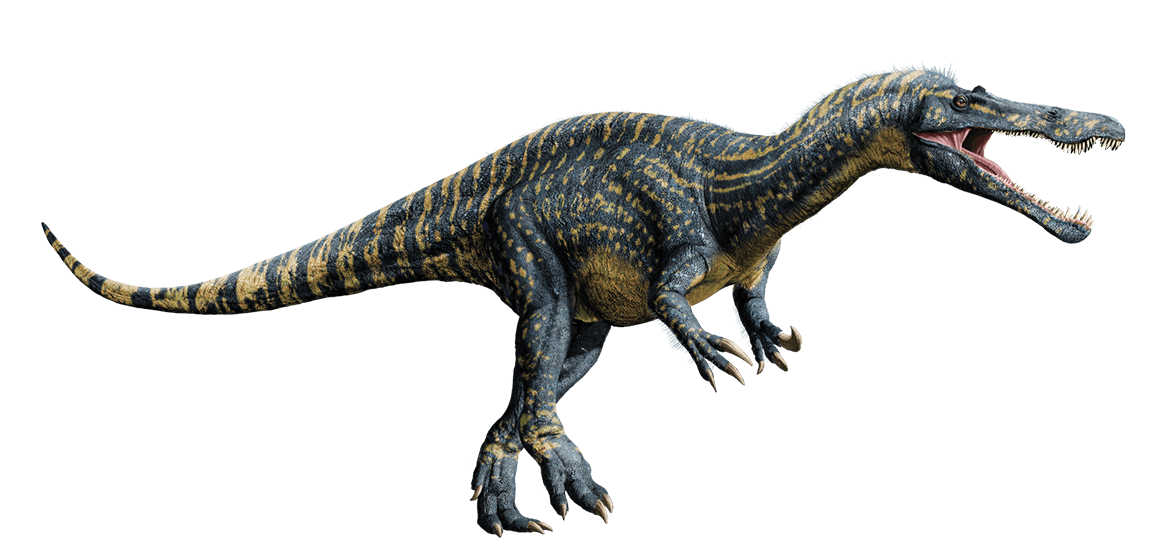 Suchomimus | Wikia Jurassic Park | FANDOM powered by Wikia