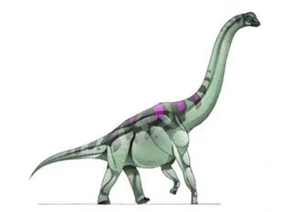 Atlasaurus | Jurassic Park wiki | Fandom