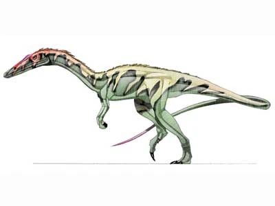 Megapnosaurus | Jurassic Park Wiki | Fandom
