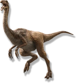 Gallimimus | Jurassic Park Wiki | Fandom