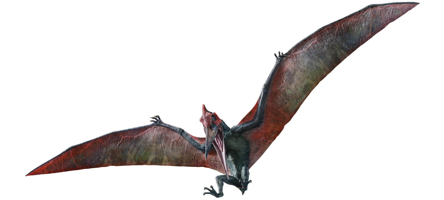 Image - Pteranodon render.png | Jurassic Park wiki | FANDOM powered by ...