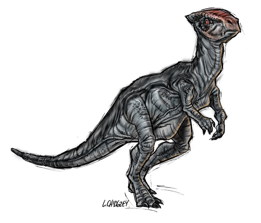 Homalocephale Jurassic Park Wiki Fandom Powered By Wikia