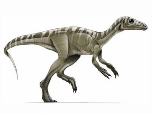 Eoraptor | Jurassic Park wiki | Fandom
