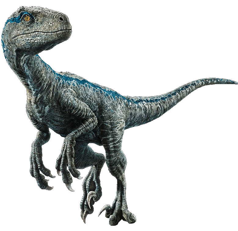 Изображение Fallen Kingdom Blue The Velociraptor V4 By Sonichedgehog2