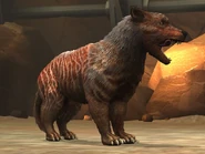 Amphicyon | Jurassic Park wiki | FANDOM powered by Wikia