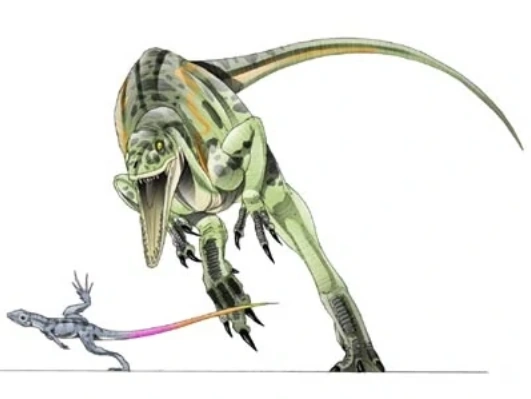 Coelurus | Jurassic Park wiki | Fandom