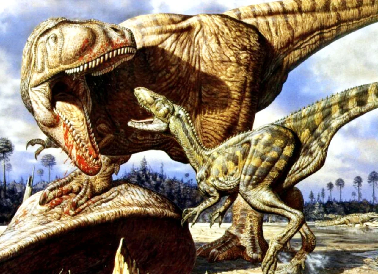 Image - Carchar.jpg | Jurassic Park wiki | FANDOM powered by Wikia