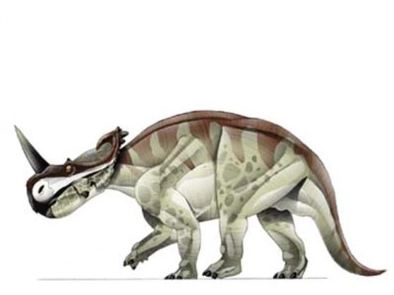 Monoclonius | Jurassic Park wiki | Fandom