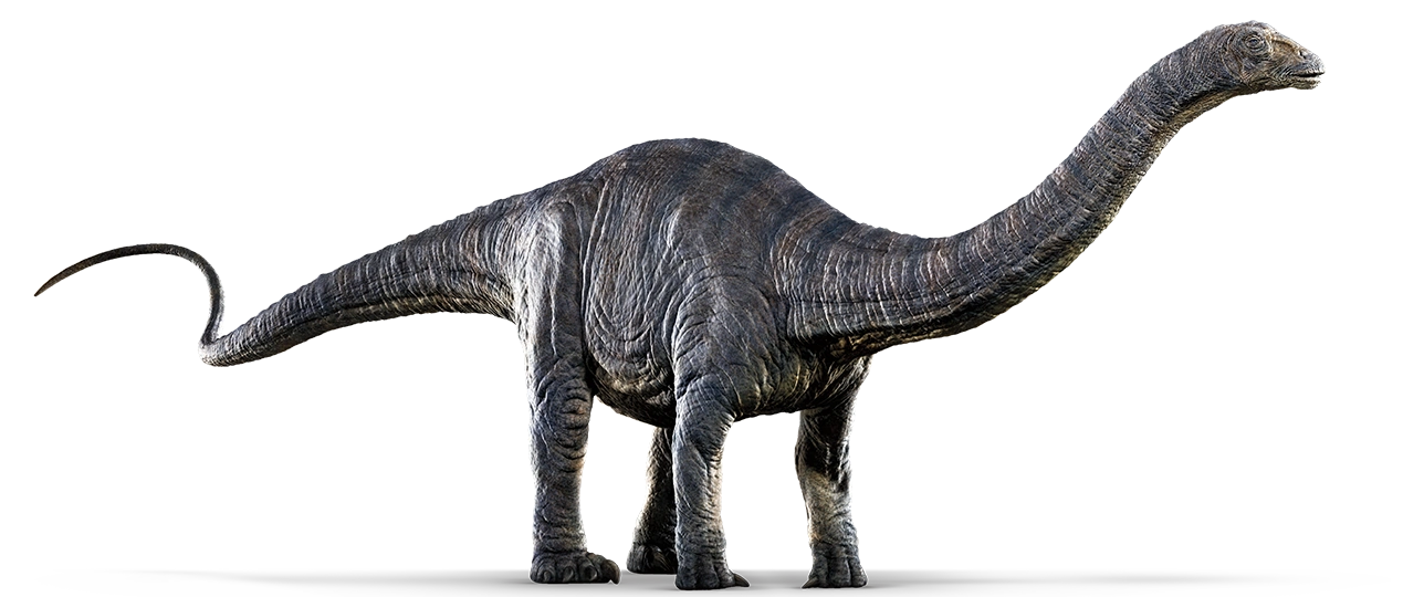 Apatosaurus | Wikia Jurassic Park | Fandom