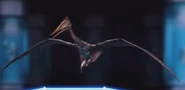 Hatzegopteryx | Jurassic Park Wiki | Fandom