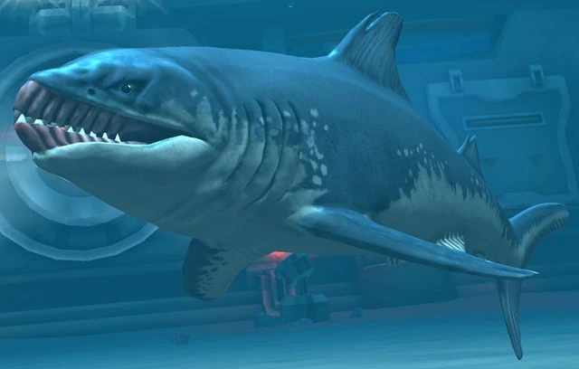 Edestus | Jurassic Park Wiki | FANDOM powered by Wikia