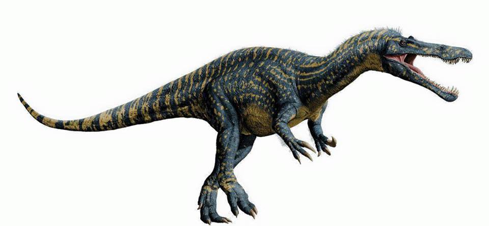 Suchomimus | Jurassic Park Wiki | FANDOM powered by Wikia
