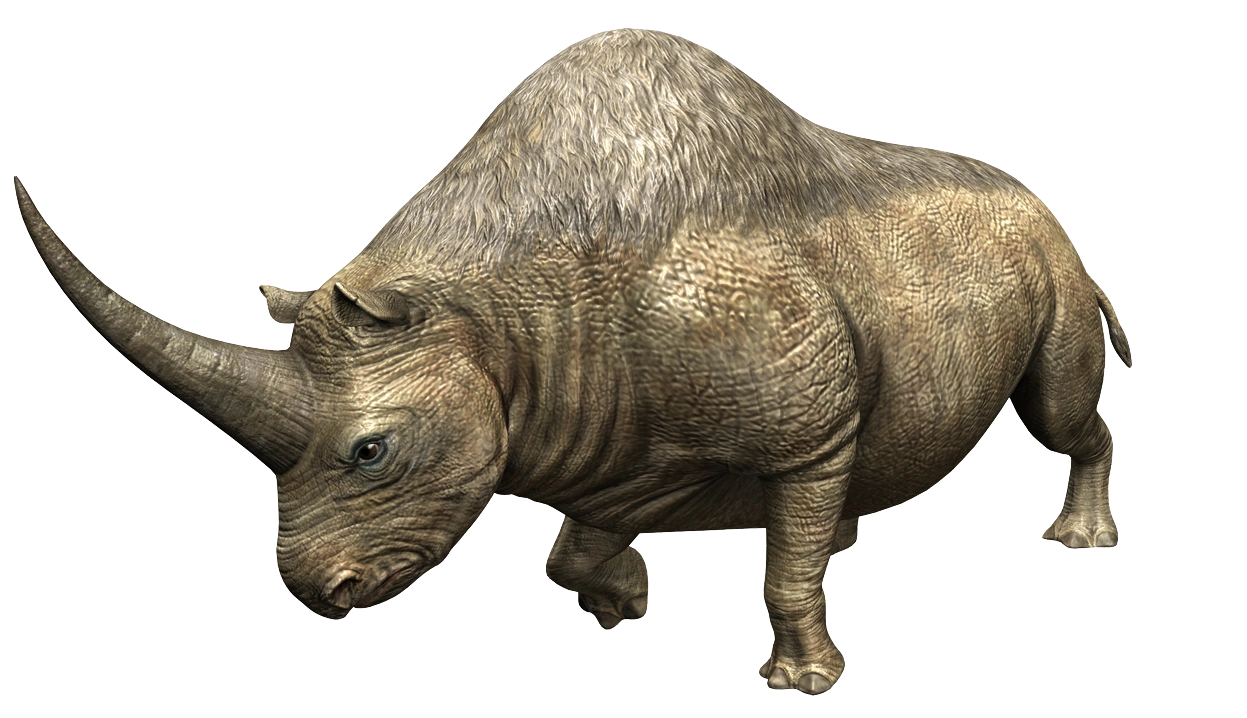 Elasmotherium | Jurassic Park Wiki | Fandom