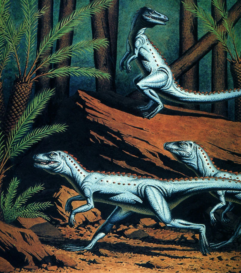 Ornithosuchus | Jurassic Park Wiki | Fandom