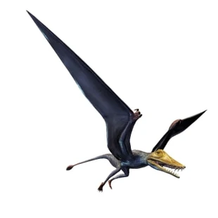 Scaphognathus | Jurassic Park Wiki | Fandom