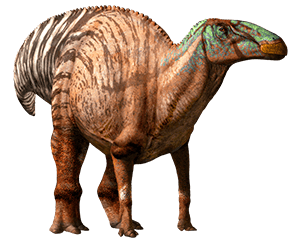 Edmontosaurus | Jurassic Park wiki | FANDOM powered by Wikia