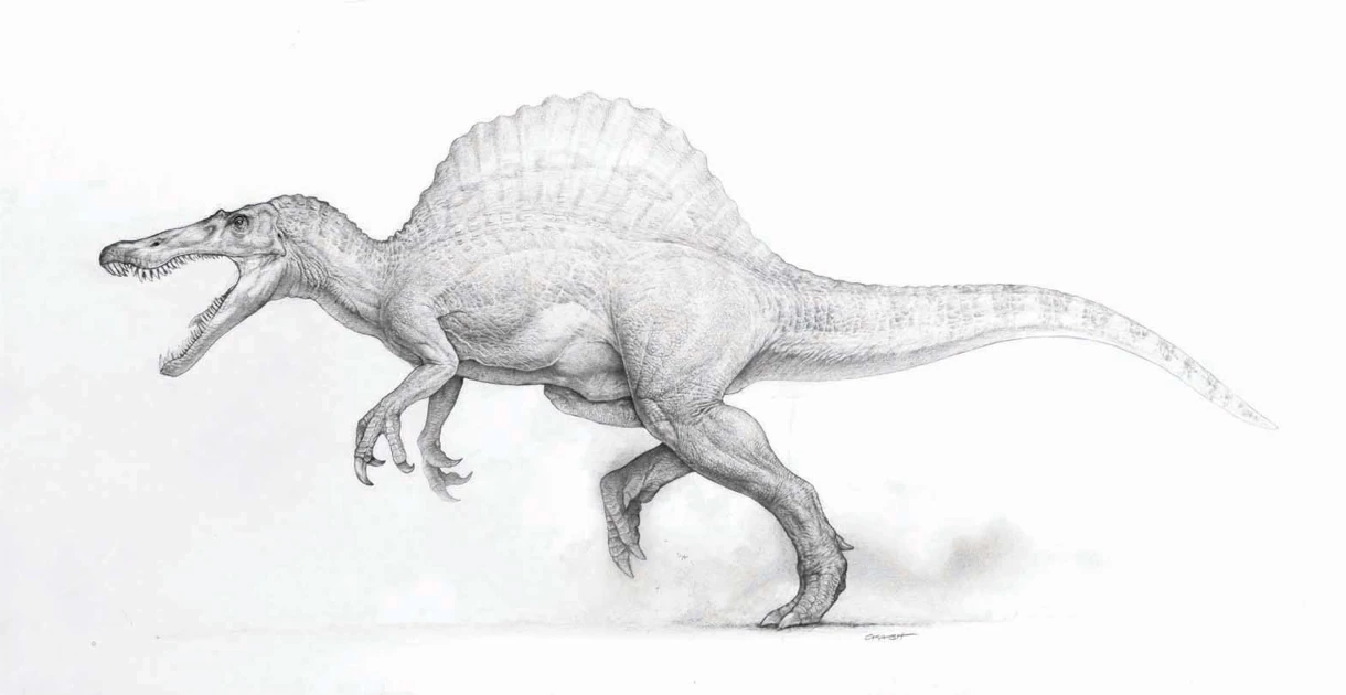 Image - JP3 Sketch of Spinosaurus.jpg | Jurassic Park wiki | FANDOM ...