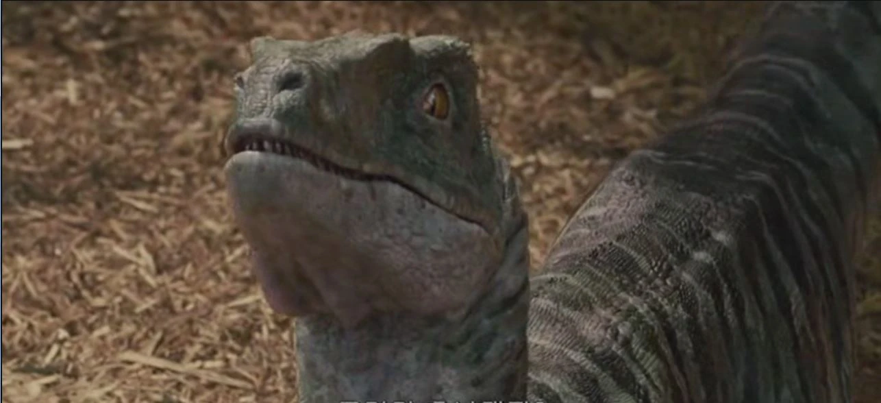 Charlie (raptor) | Jurassic Park wiki | FANDOM powered by Wikia