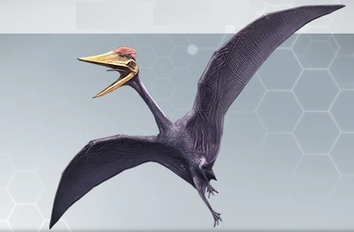 Zhejiangopterus | Jurassic Park Wiki | Fandom
