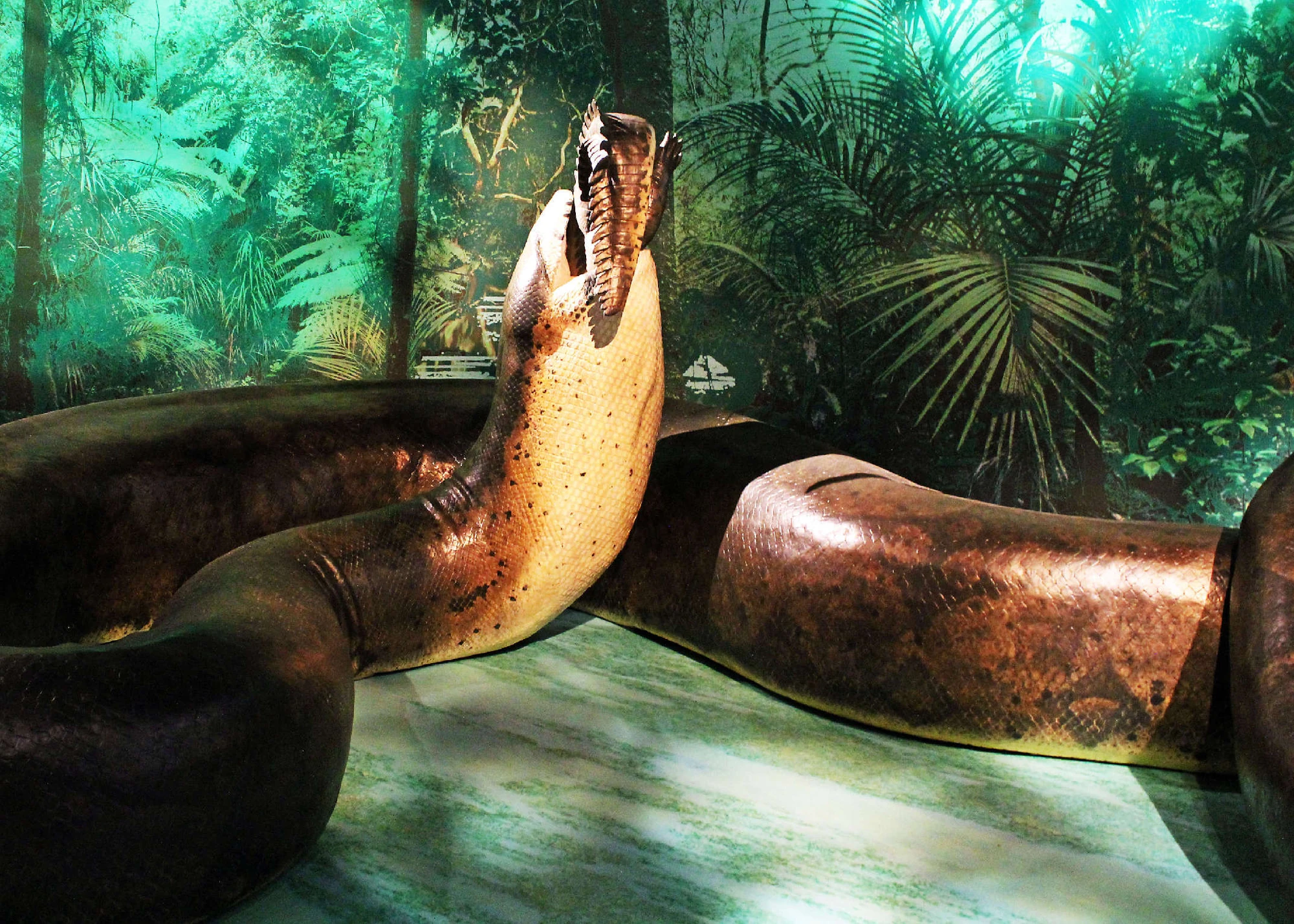 User blog:RyanBurns1988/Indominus Rex vs Titanoboa | Jurassic Park wiki ...