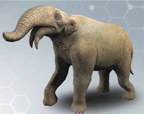 Deinotherium | Jurassic Park Wiki | FANDOM powered by Wikia