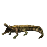 Sarcosuchus | Jurassic Park wiki | Fandom