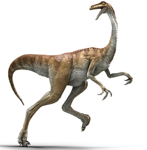 Изображение - Gallimimus-info-graphic.png | Парк Юрского Периода вики ...